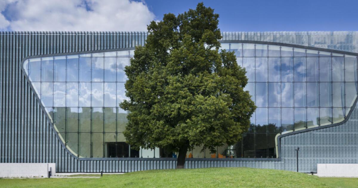 From ashes to rebirth – how Holocaust commemoration helps revive Jewish ...
